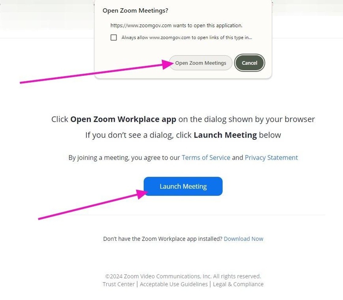 Managing Zoom Telehealth Basic Sessions